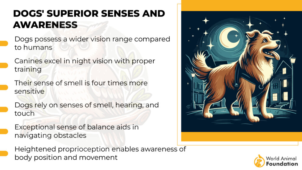 7 Dog Breeds For Night Owls That Match Your Late-Night Energy ...