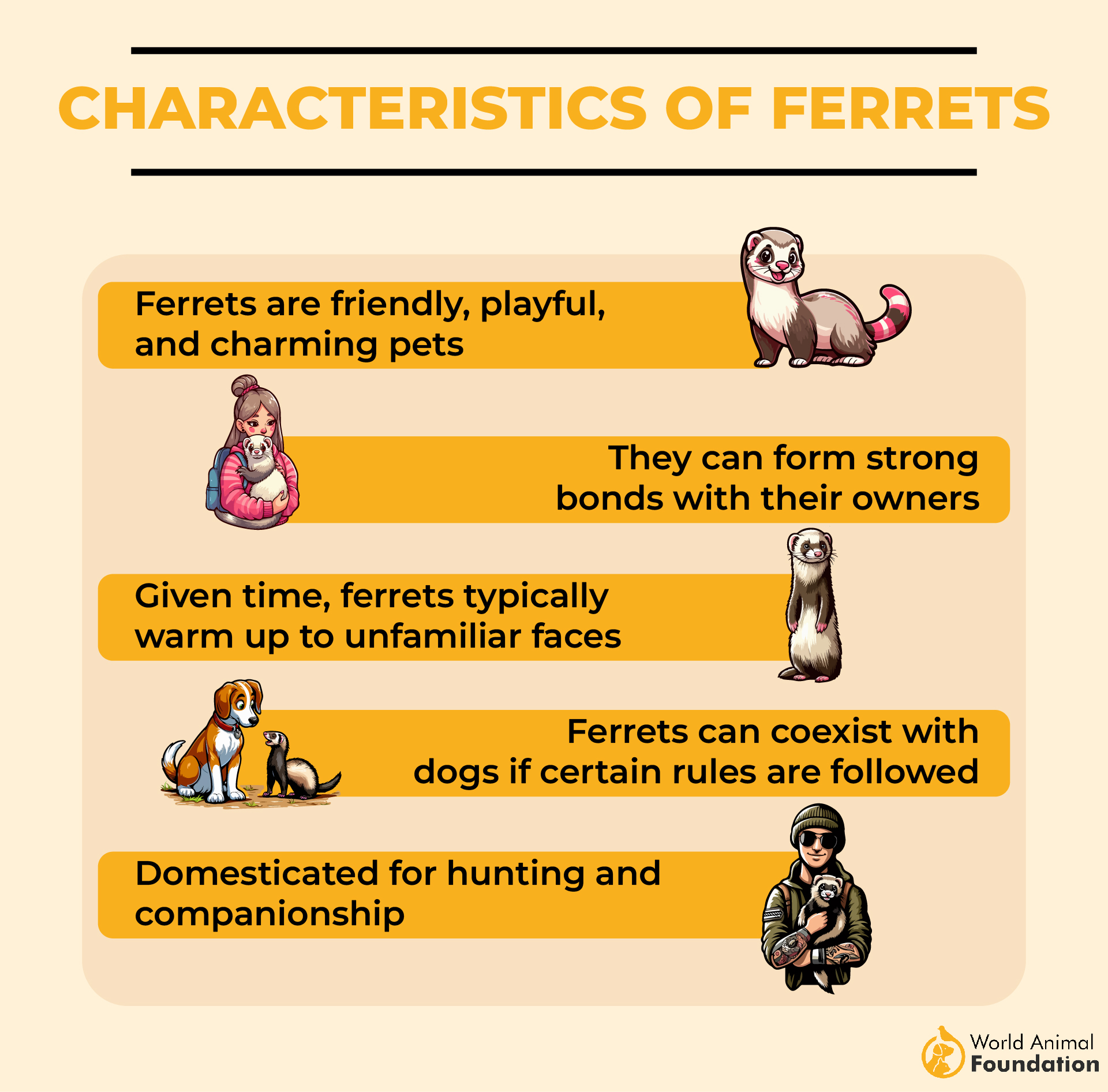 9 Breeds Of Dogs That Get Along Well With Ferrets - Ethawi.com