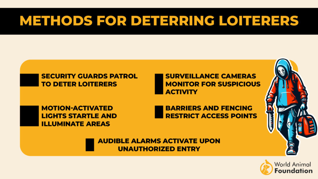 7 Dog Breeds To Protect Against Loiterers & Discourage Trespassers ...