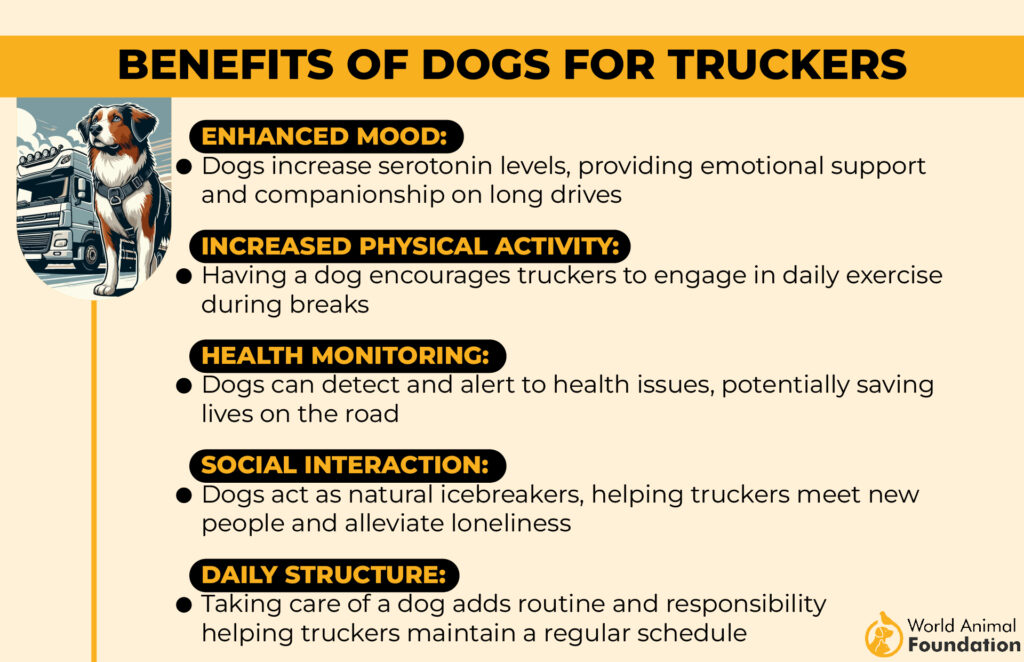 7 Best Dog Breeds For Truckers That Love Road Trips - Ethawi.com