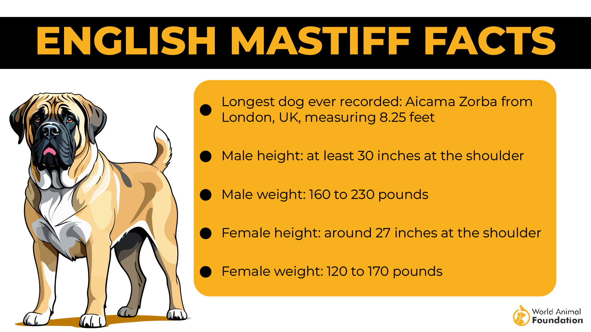 7 Heaviest Dog Breeds On The Planet - Avesei.com
