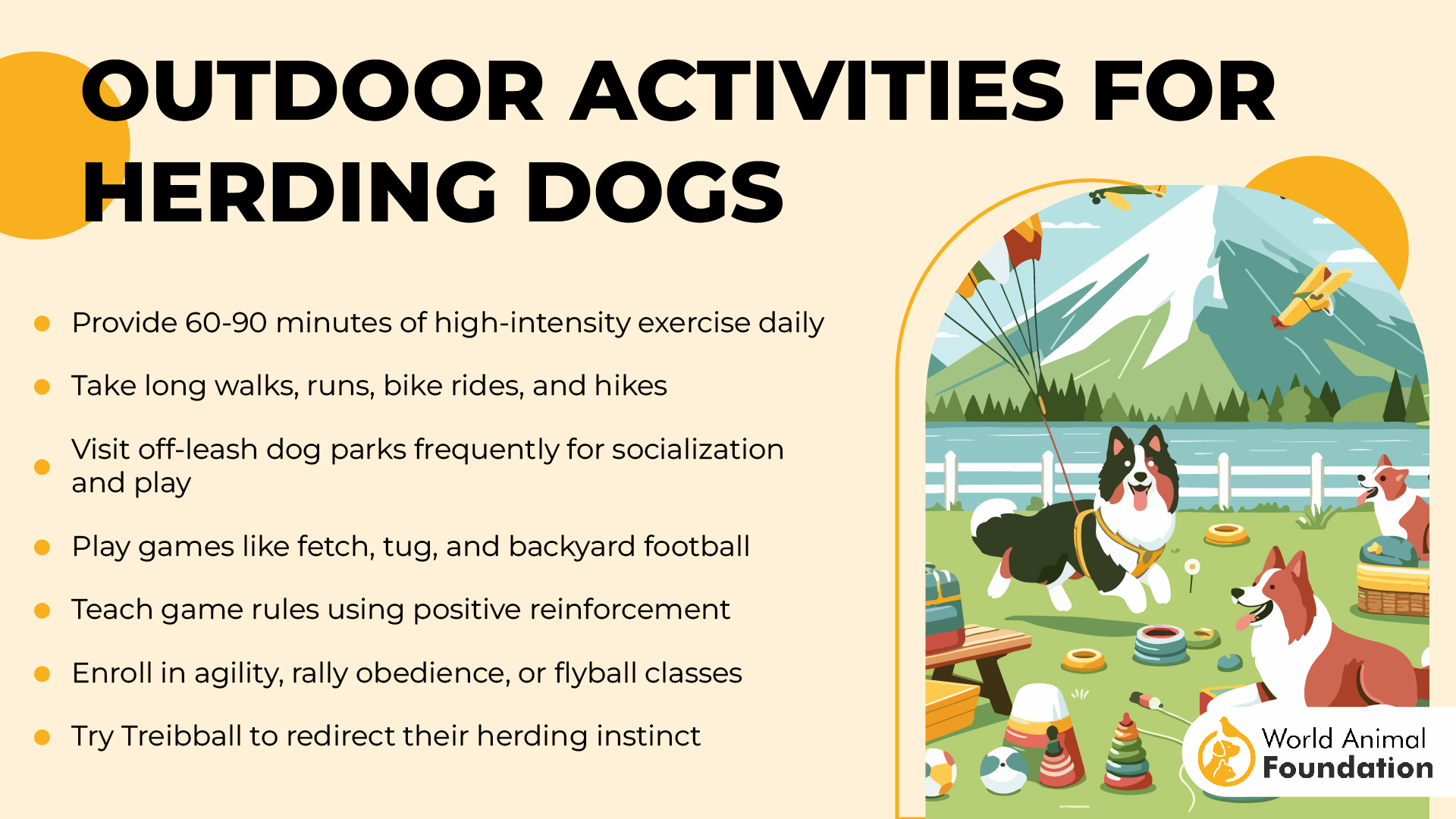 7 Types Of Herding Dogs For Your Farm And Family - Avesei.com