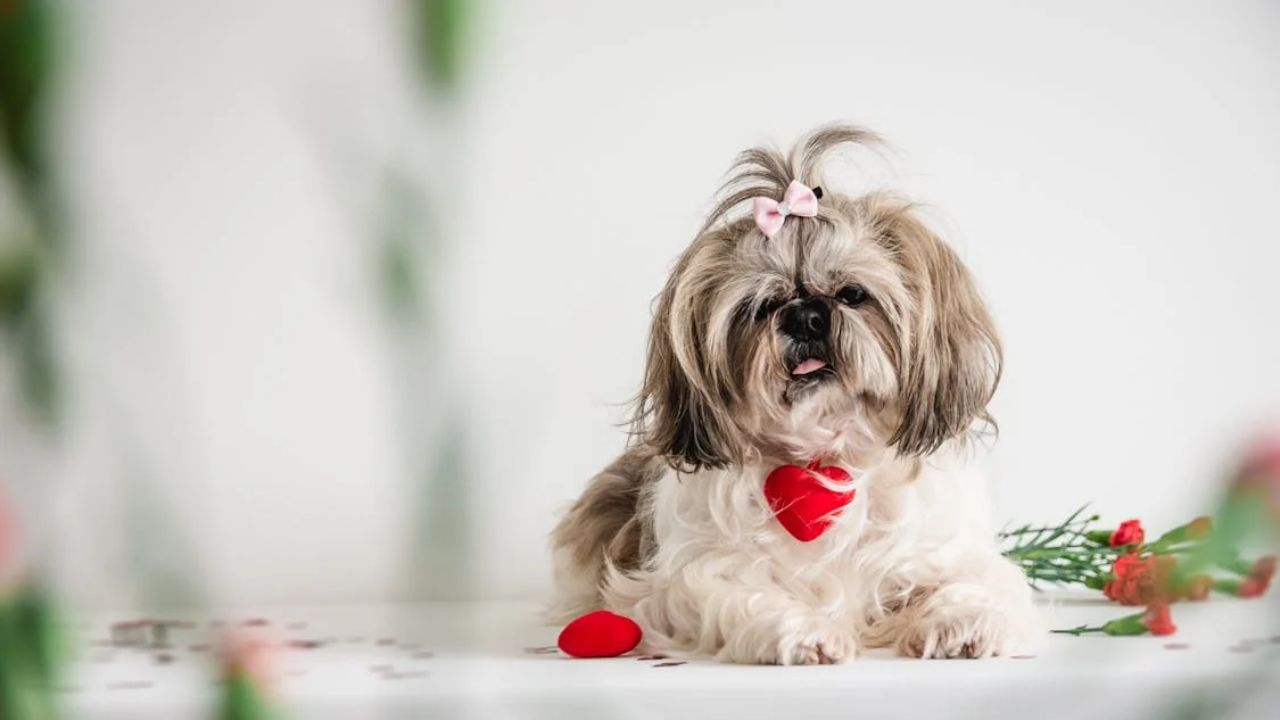 7 Most Popular Dog Breeds In Alabama In 2024 - Ethawi.com