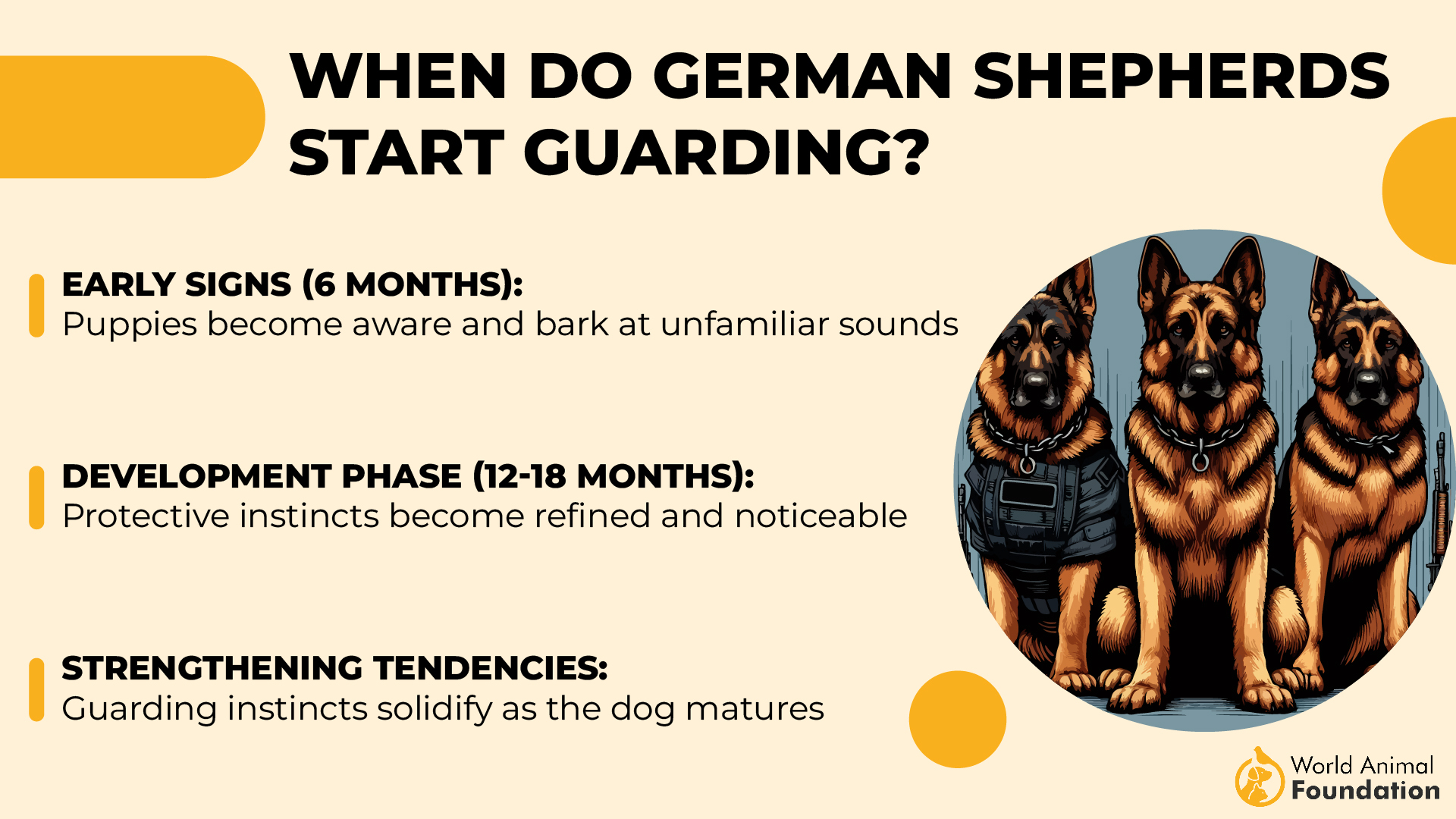 Are German Shepherds Good Guard Dogs? - Avesei.com