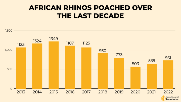 Poaching Statistics 2025 – Global Facts, Trends & Impact