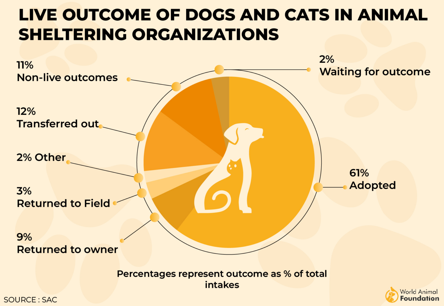 Pet Adoption Statistics & Facts To Know In 2024