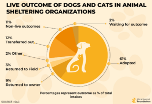 Pet Adoption Statistics & Facts To Know In 2024