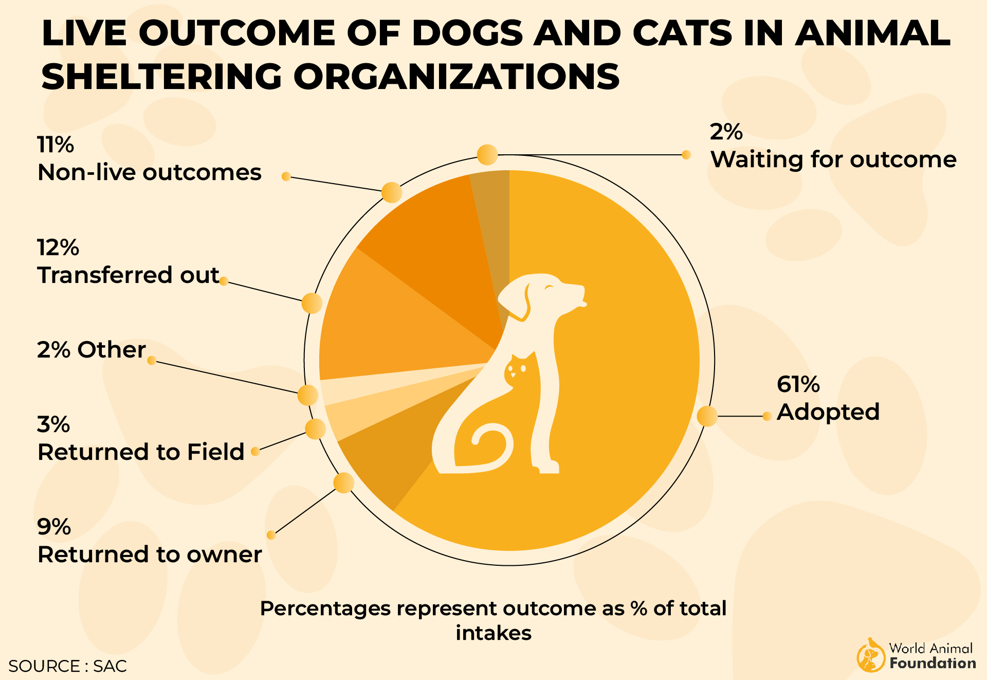 Pet Adoption Statistics & Facts To Know In 2024