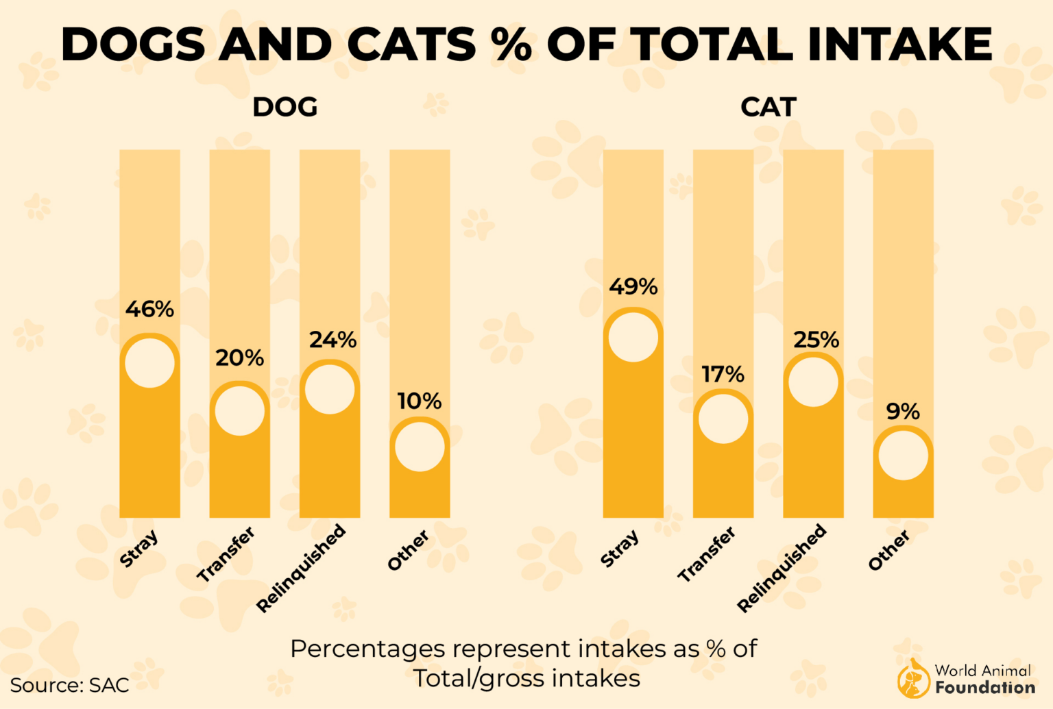 Pet Adoption Statistics & Facts To Know In 2024