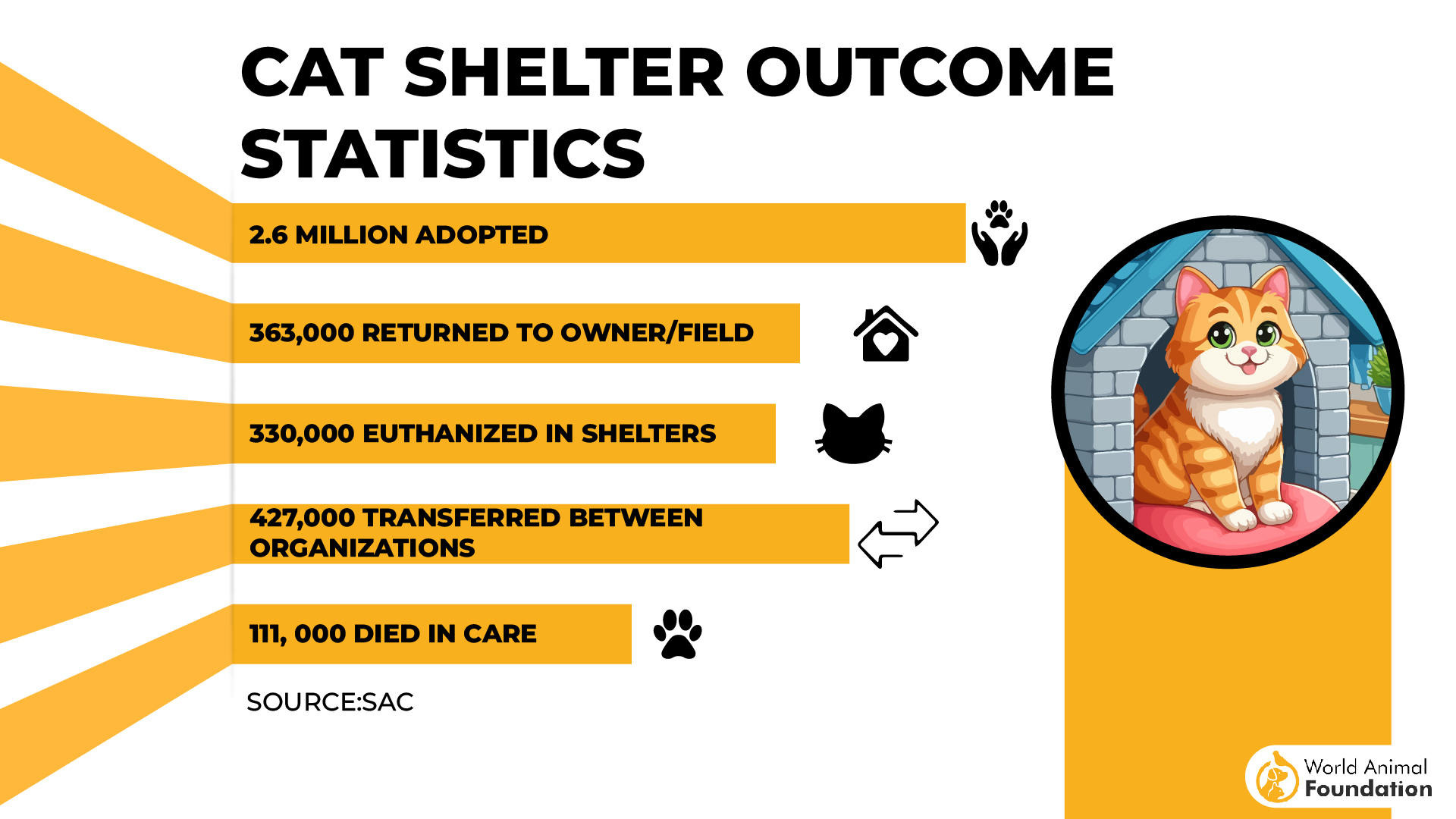 Pet Adoption Statistics & Facts To Know In 2024