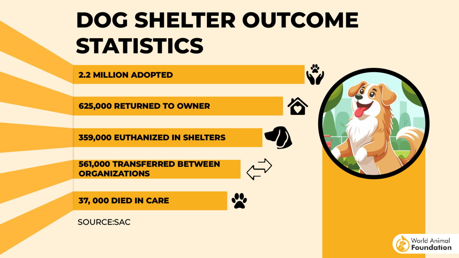 Pet Adoption Statistics & Facts To Know In 2024