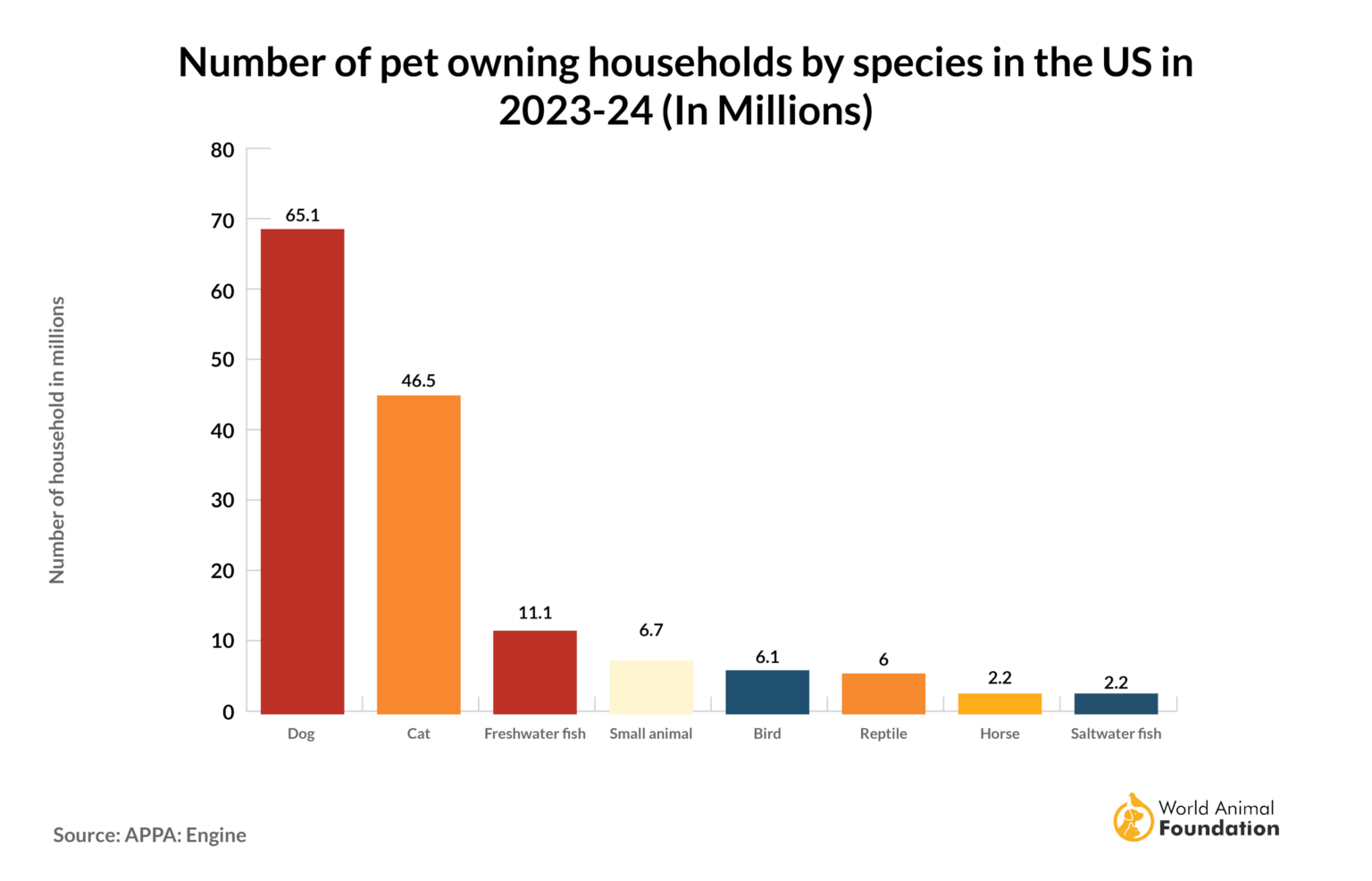 Pet Adoption Statistics & Facts To Know In 2024