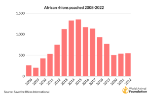 Poaching Statistics 2025 – Global Facts, Trends & Impact