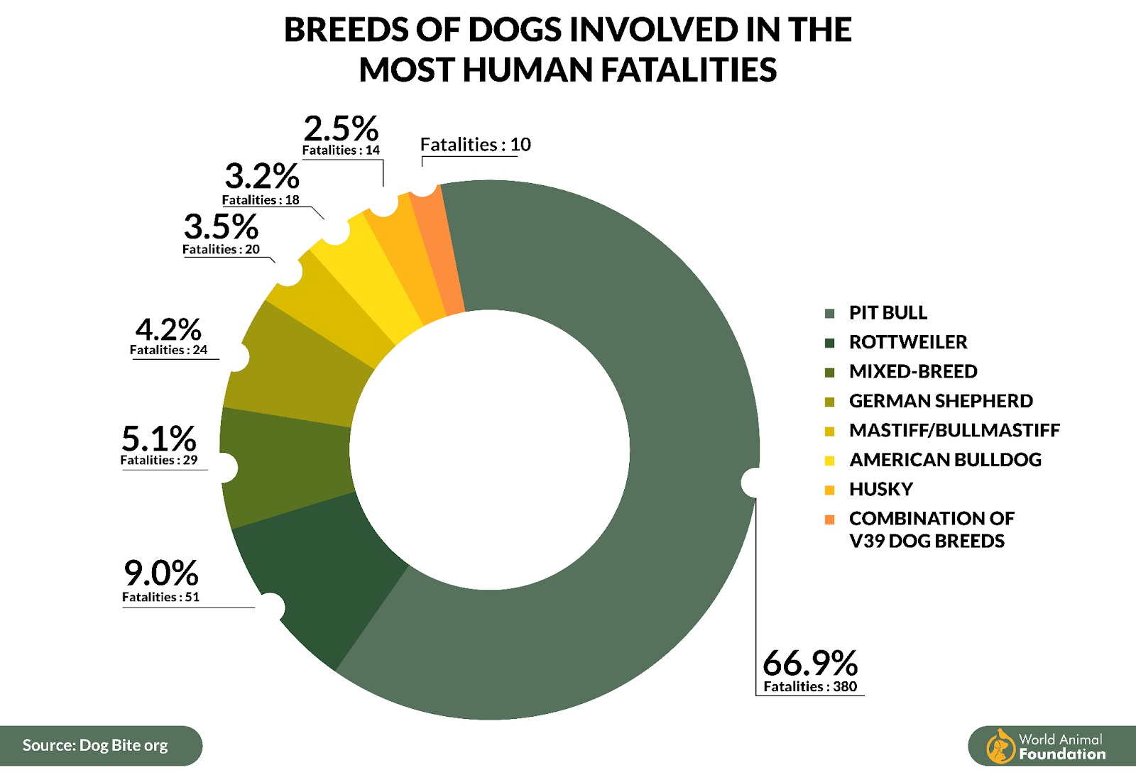 Pitbull Attack Statistics 2024 - Myths, Facts, And Figures