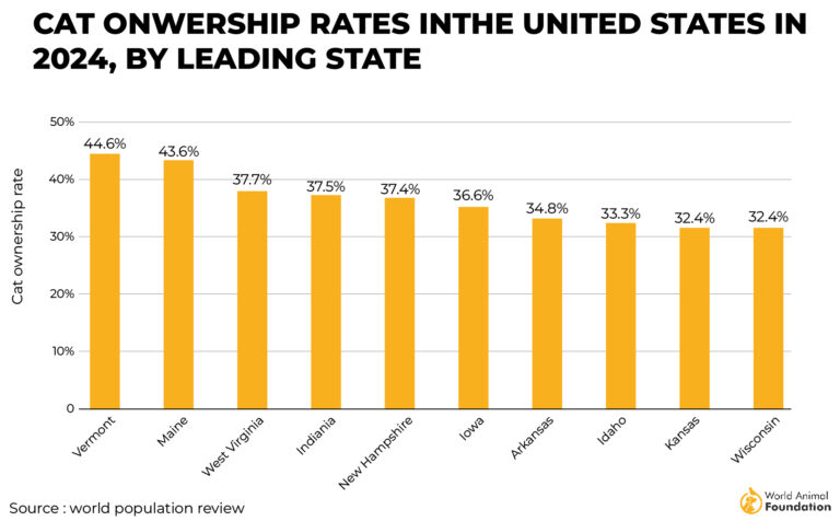 How Many Cats Are In The World In 2025