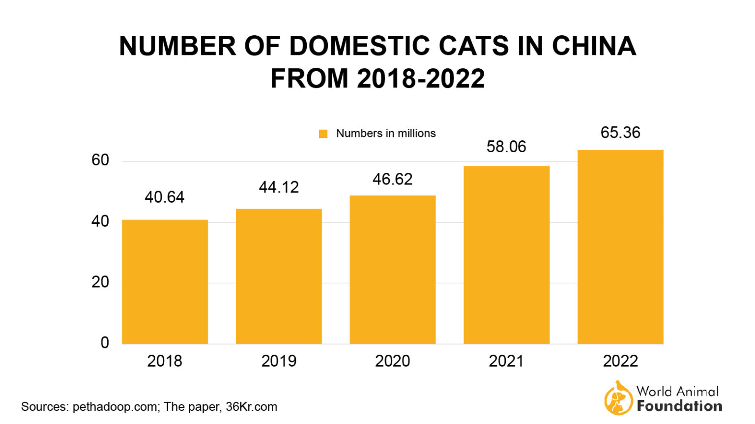 How Many Cats Are In The World In 2025