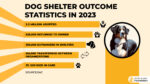 Animal Shelter Statistics & Facts To Know In 2024