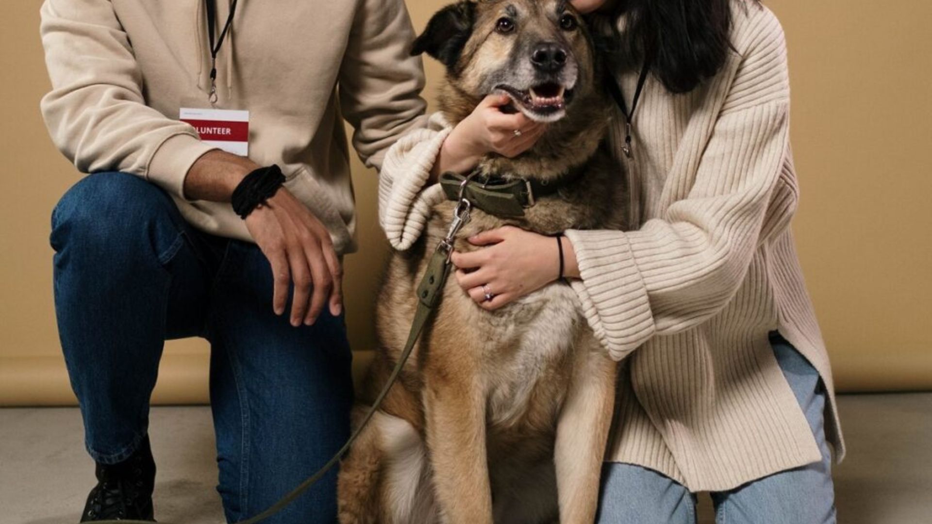 Pet Industry Statistics In 2024 - Growth, Trends, & Impact