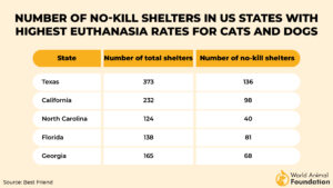 Animal Shelter Statistics & Facts To Know In 2024