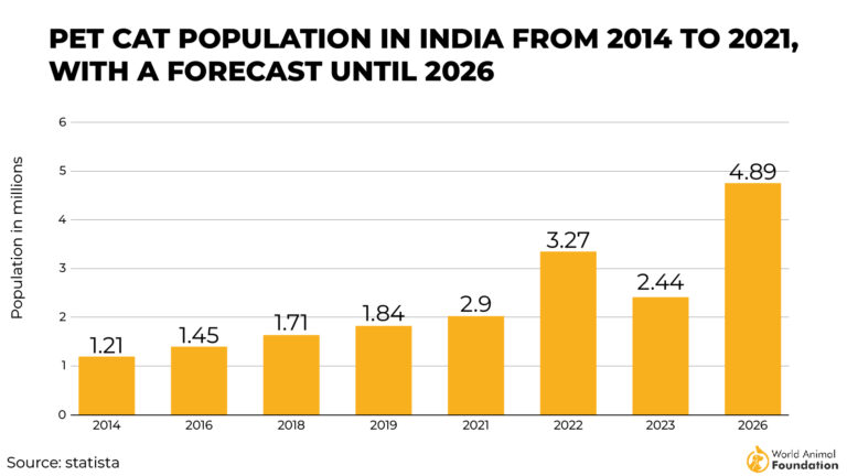 How Many Cats Are In The World? Global Cat Population 2024 - Tededer.com