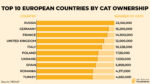 How Many Cats Are In The World? Global Cat Population 2024