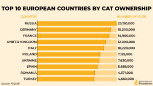 How Many Cats Are In The World In 2025