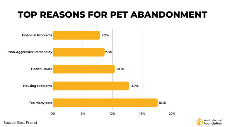Animal Shelter Statistics & Facts To Know In 2024