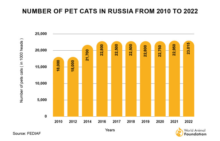 How Many Cats Are In The World In 2025