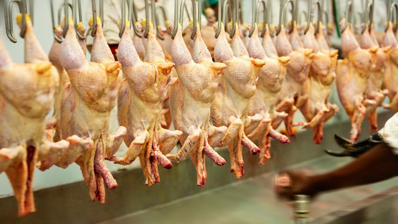 Most Consumed Meat In The World In 2025