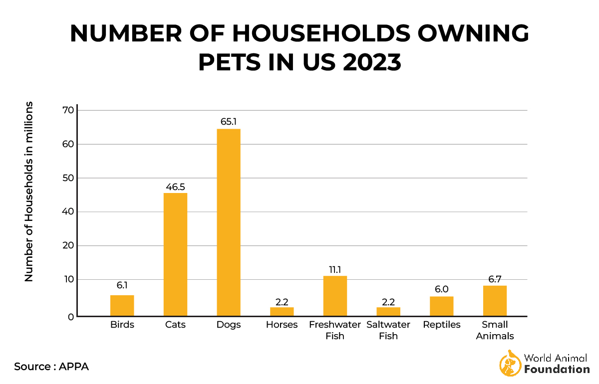 Latest Pet Spending Statistics, Insights, And Trends In 2024