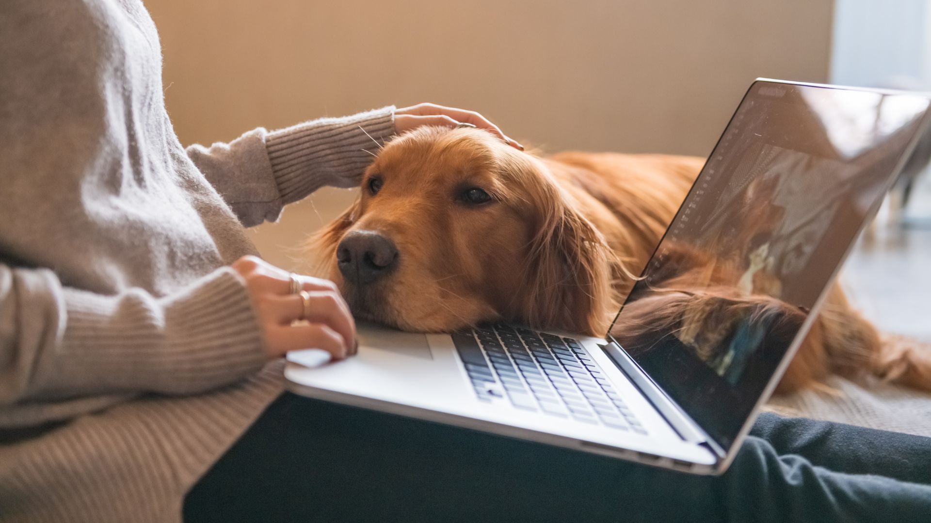 Pet Industry Statistics In 2024 - Growth, Trends, & Impact