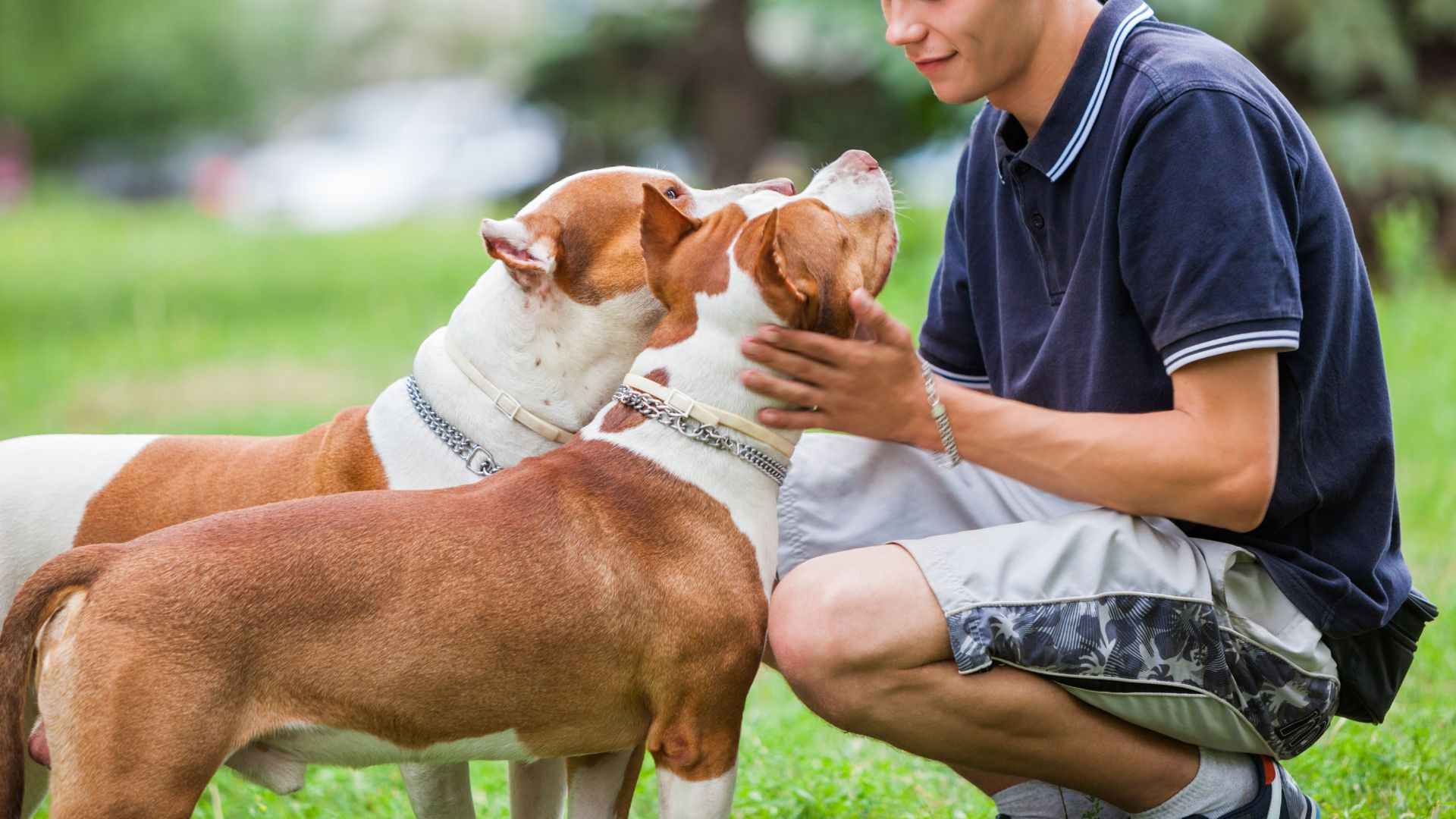 Pet Industry Statistics In 2024 - Growth, Trends, & Impact