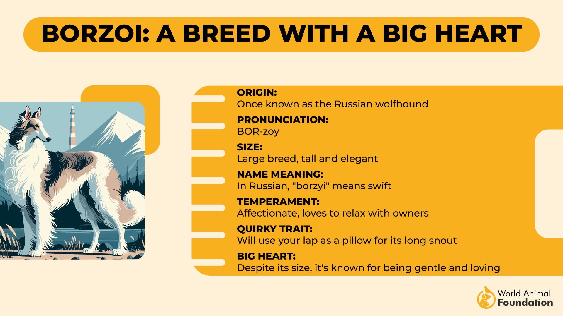 9 Dog Breeds With The Biggest Hearts - Avesei.com