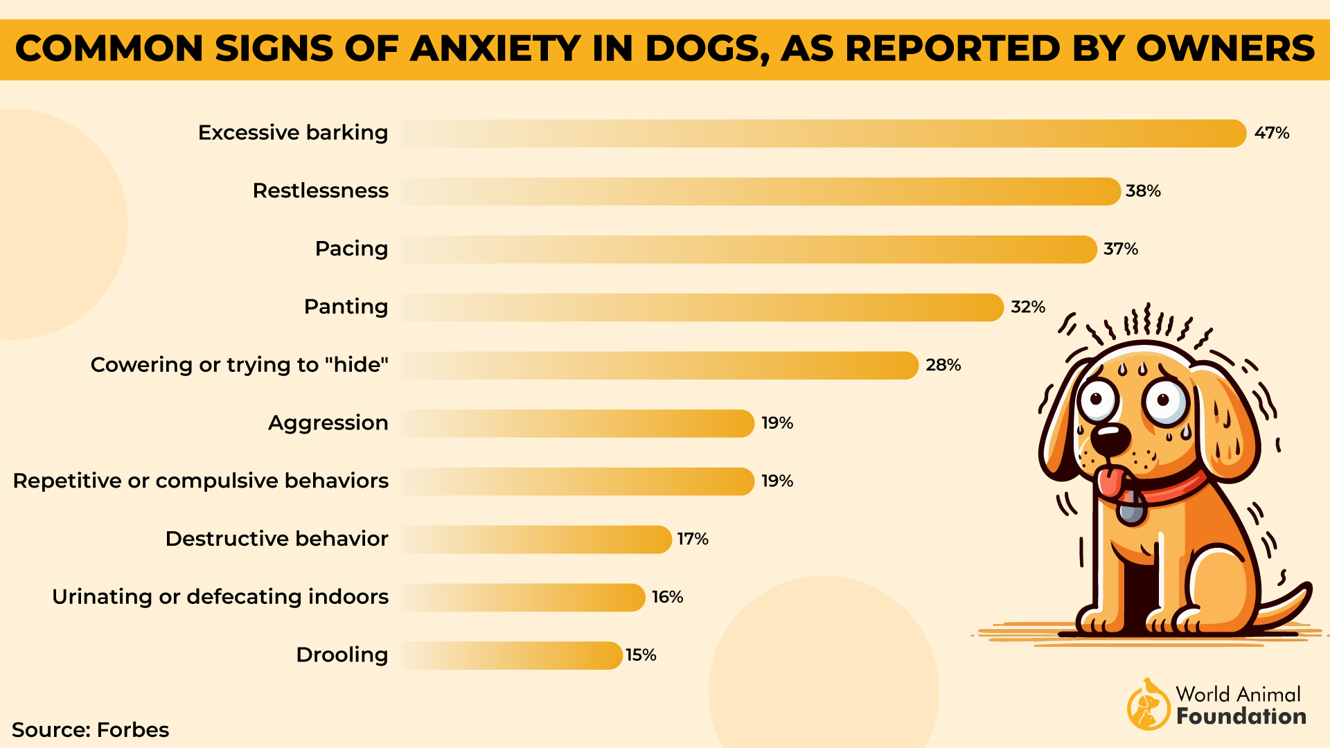 10 Most Anxious Dog Breeds - Ethawi.com