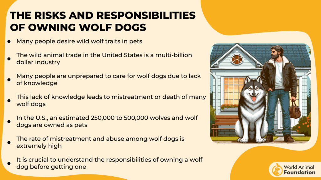 9 Dog Breeds Closely Related To Wolves - Avesei.com