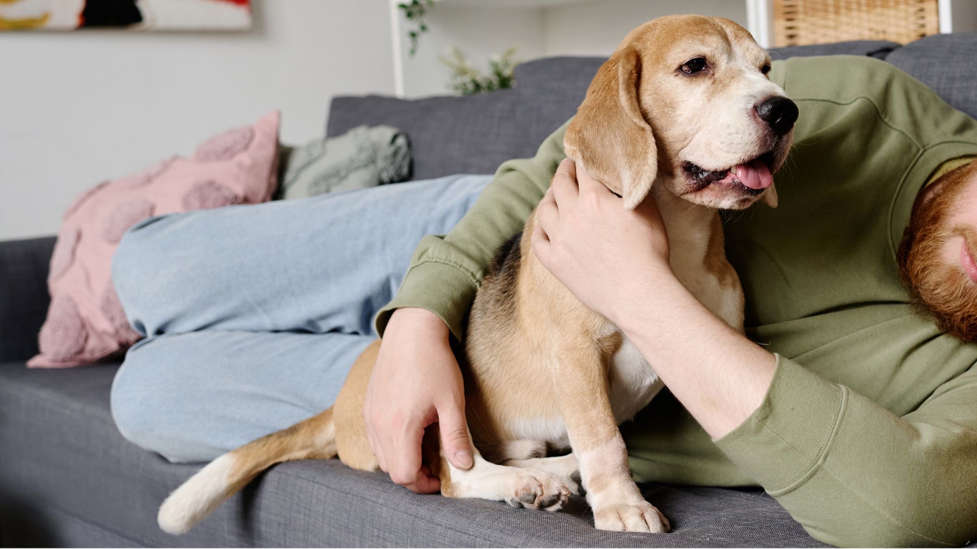 7 Dog Breeds For Relaxed Owners - Cerfiem.com