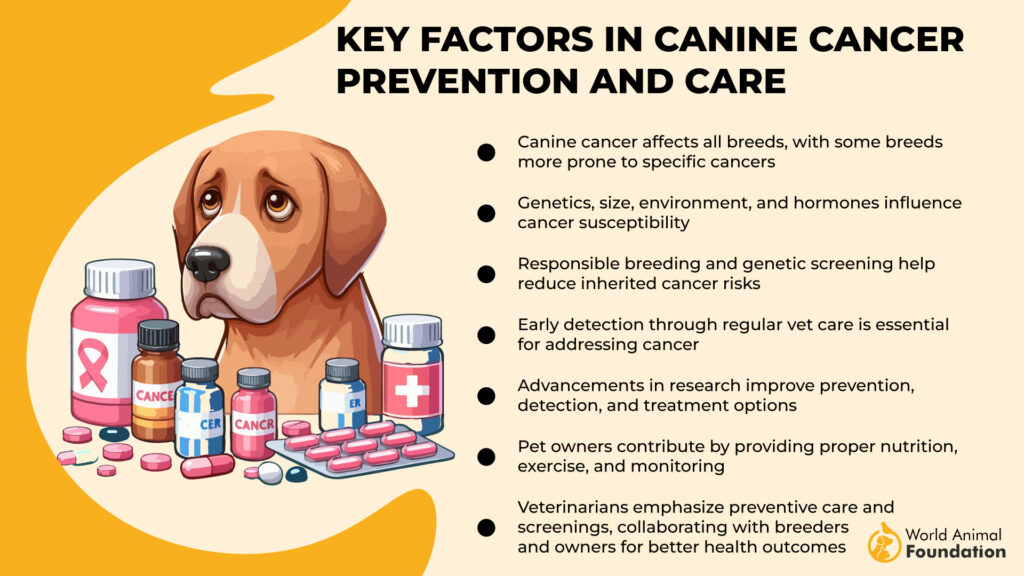 7 Dog Breeds Most Prone To Cancer - Tededer.com