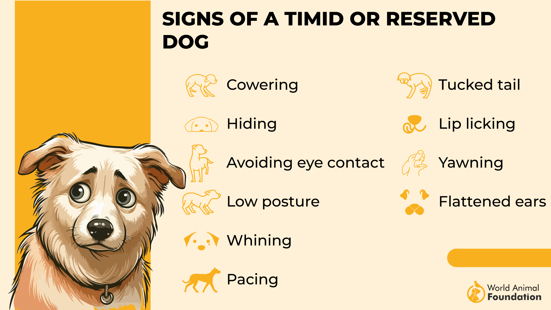 9 Most Timid Dog Breeds For A Peaceful Household - Avesei.com