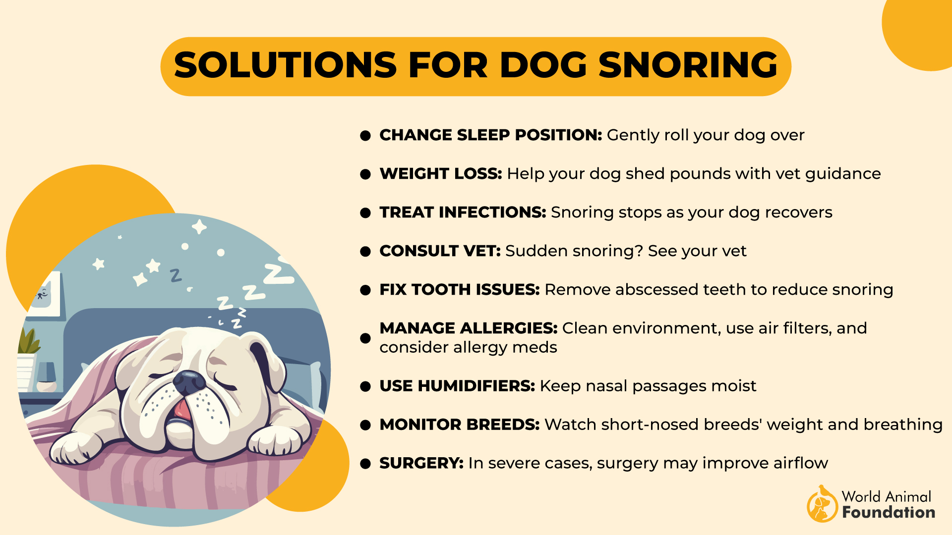 7 Dog Breeds In The Snoring Hall Of Fame You Should Know - Avesei.com