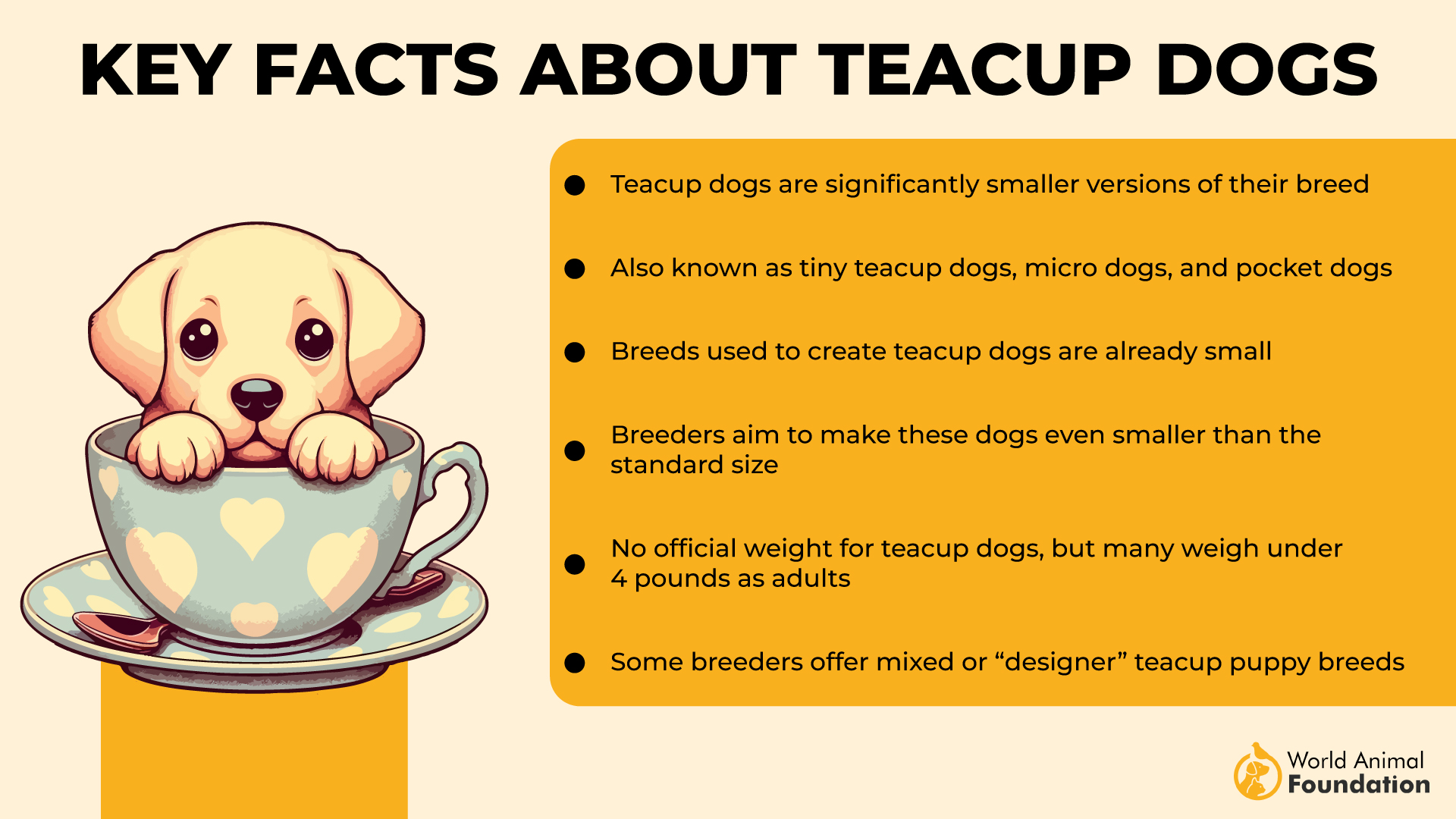 10 Teacup Dog Breeds For Compact Living - Inhenocha.com