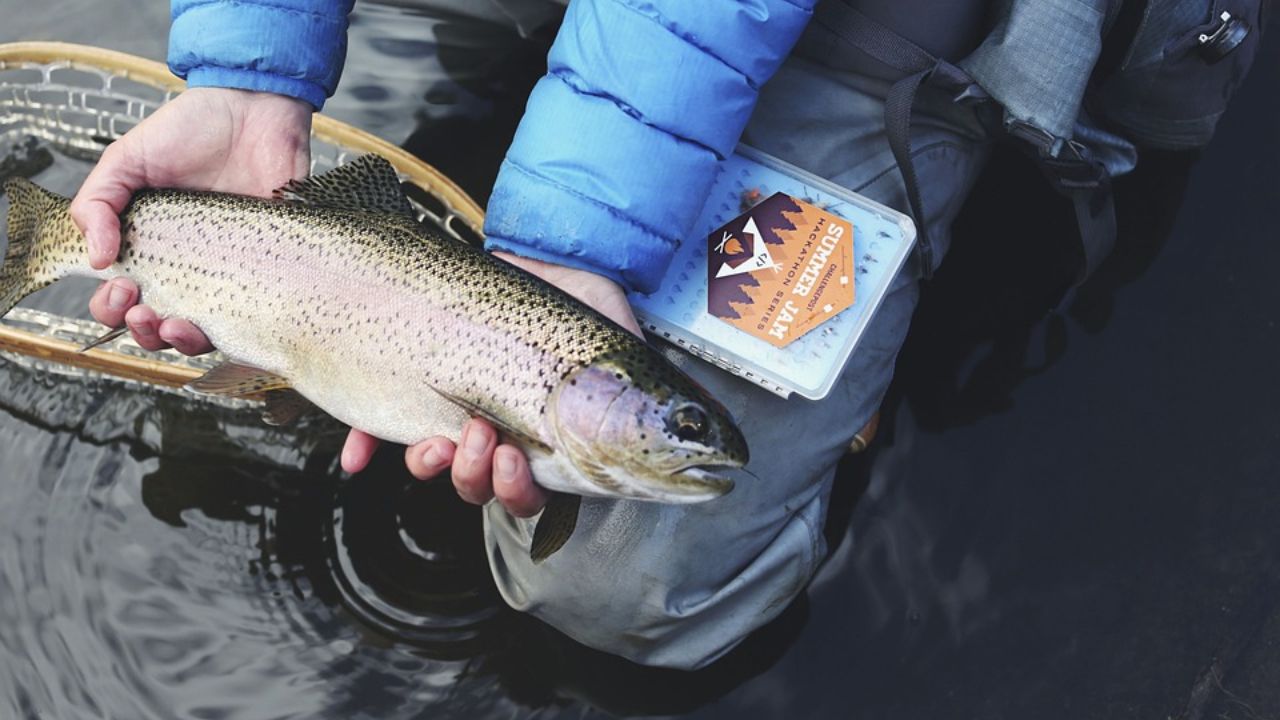 Overfishing Statistics & Facts You Should Know In 2025