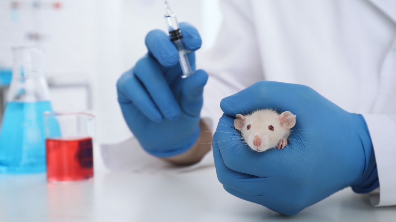 Animal Testing Facts - A Gruesome Cruelty That Needs To End