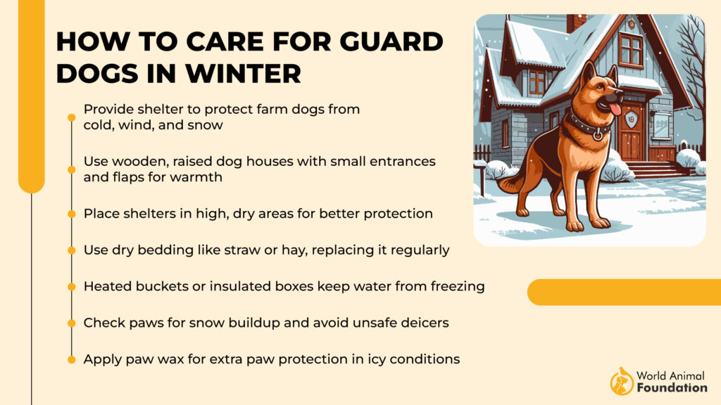 7 Best Guard Dog Breeds For Winter - Ethawi.com