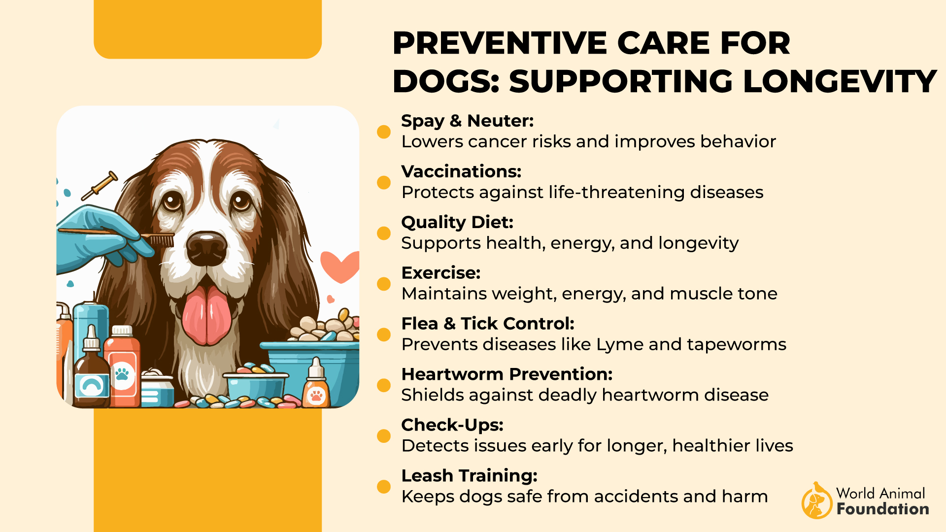 7 Longest Living Guard Dog Breeds - Ethawi.com