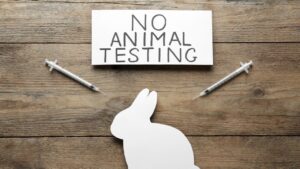 Animal Testing Facts - A Gruesome Cruelty That Needs To End