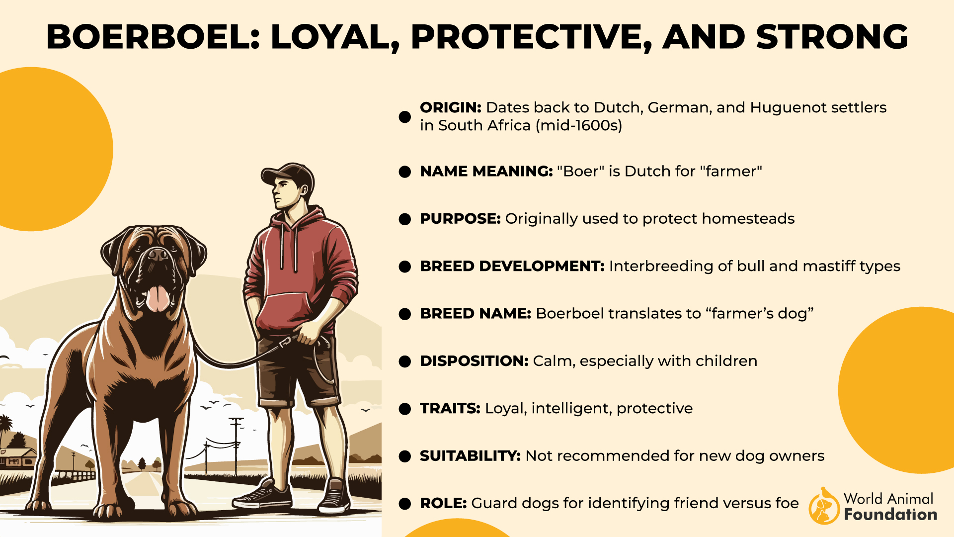 7 Deadliest Family Protection Guard Dog Breeds - Ethawi.com