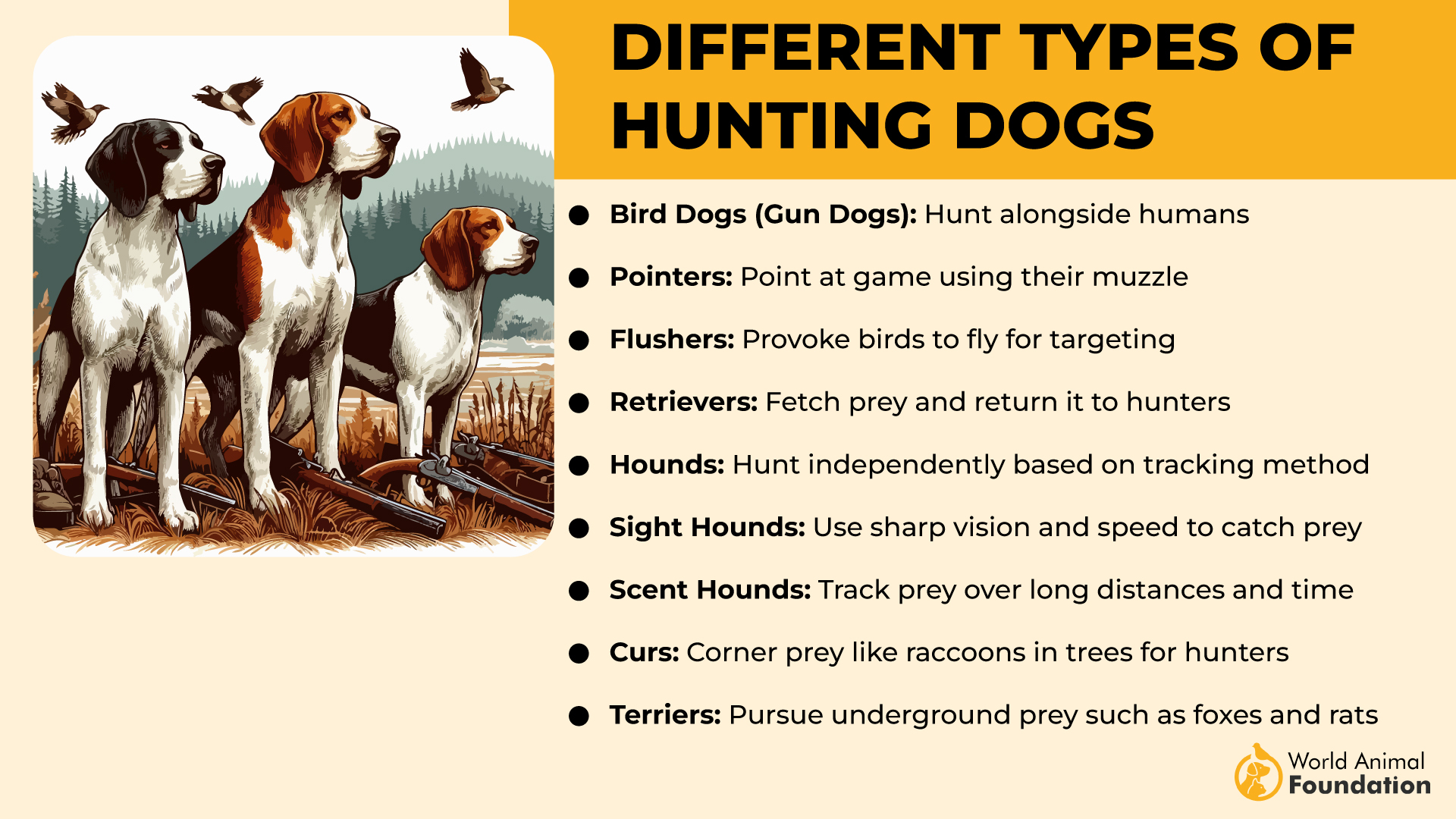 6 Most Intelligent Hunting Dog Breeds - Cerfiem.com