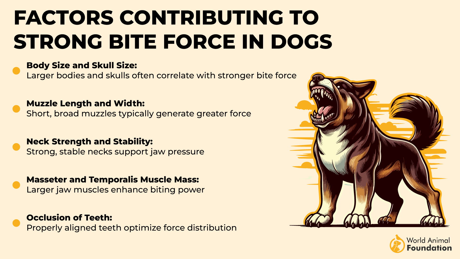 7 Guard Dog Breeds With The Strongest Bite Force - Inhenocha.com