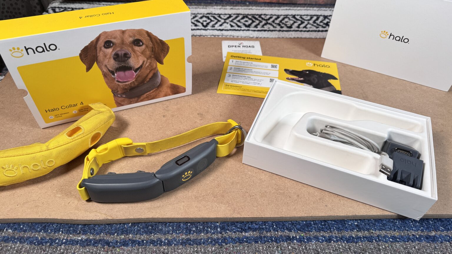 6 Best Invisible Dog Fences [Tested In April 2025]