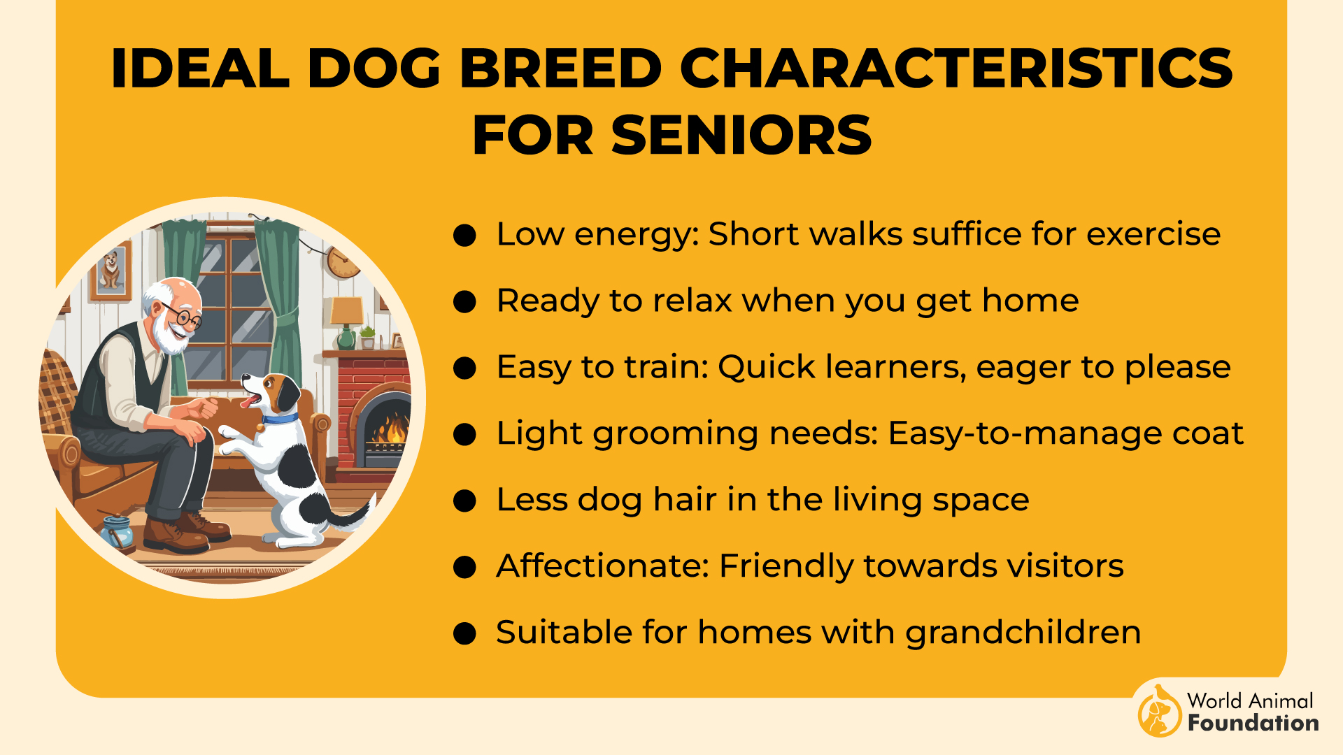 9 Most Intelligent Dogs For Seniors - Tededer.com
